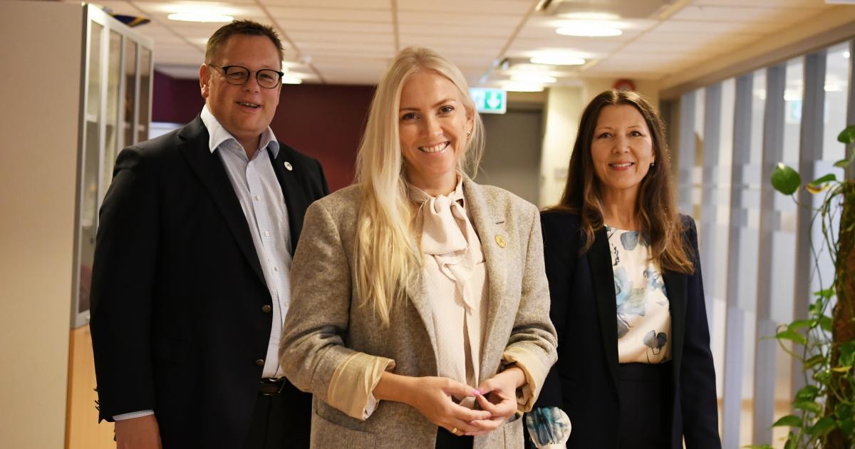 Nytt styre i ICN valgt