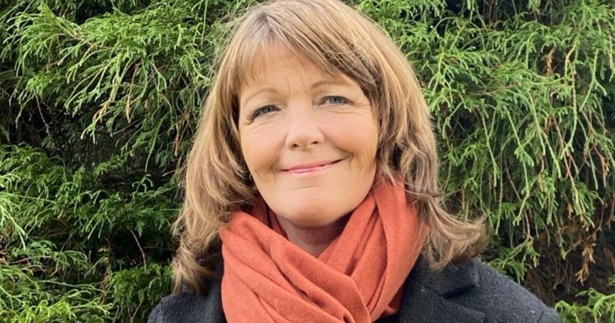 Presentasjon av faggruppens leder