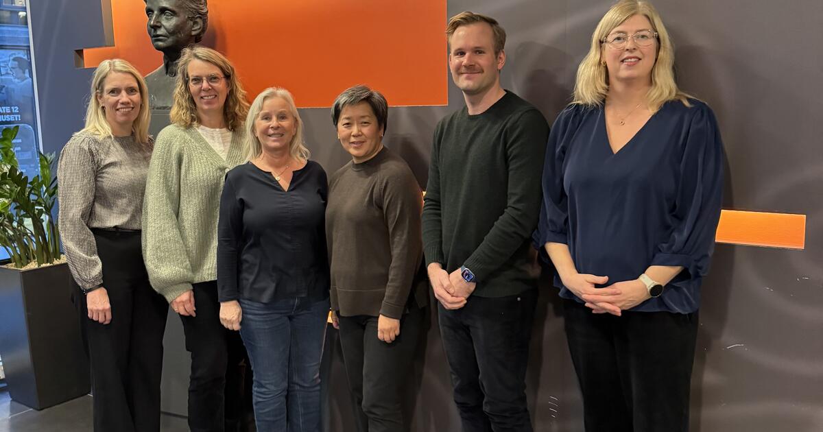Styret i Operasjonssykepleierne NSF (ONSF) har konstituert seg